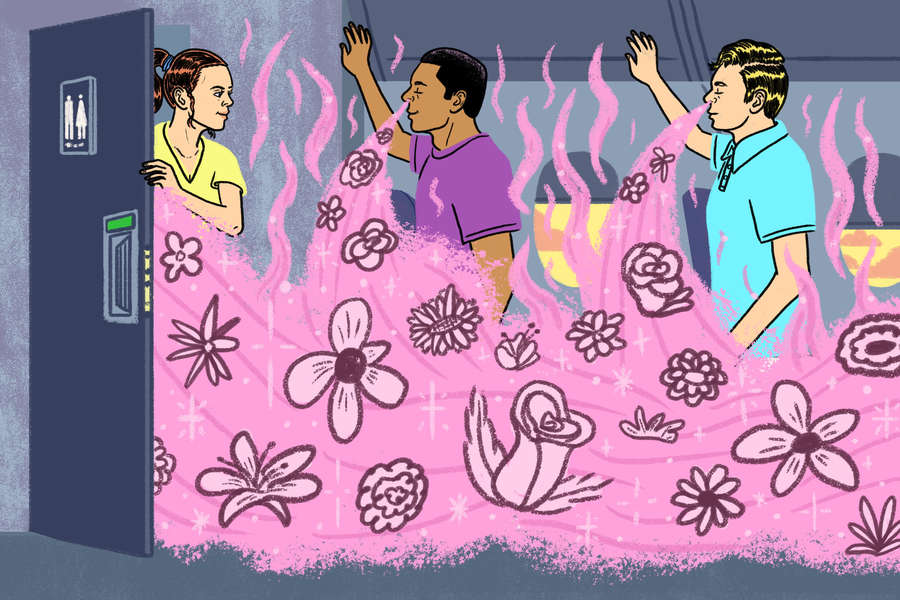 How to Poop on a Plane: A Guide to Using the Airplane Bathroom - Thrillist