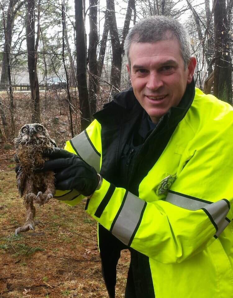 Cop Rescues A Very Sad Baby Owl Who Fell From His Nest - The Dodo