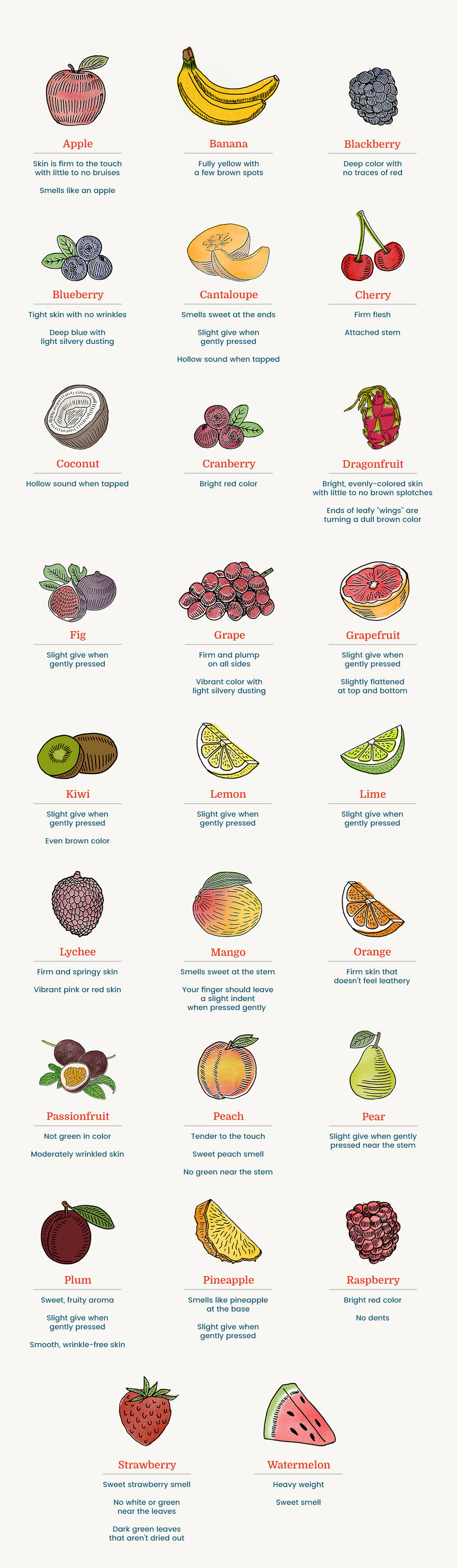 How To Tell When Fresh Fruit is Ripe Infographic - Thrillist
