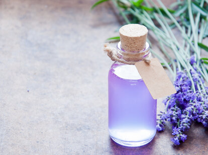 Lemon-Lavender Syrup - Thrillist