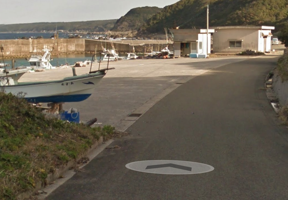 Dog Goes Viral On Street View After Chasing Google Maps Car - The Dodo