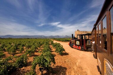 Best Wine Trains in the World - Thrillist