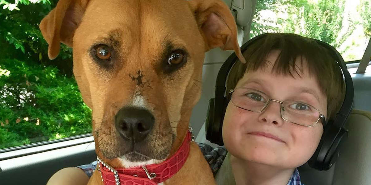 Little Boy And Rescue Dog Have The Most Remarkable Bond - Videos - The Dodo