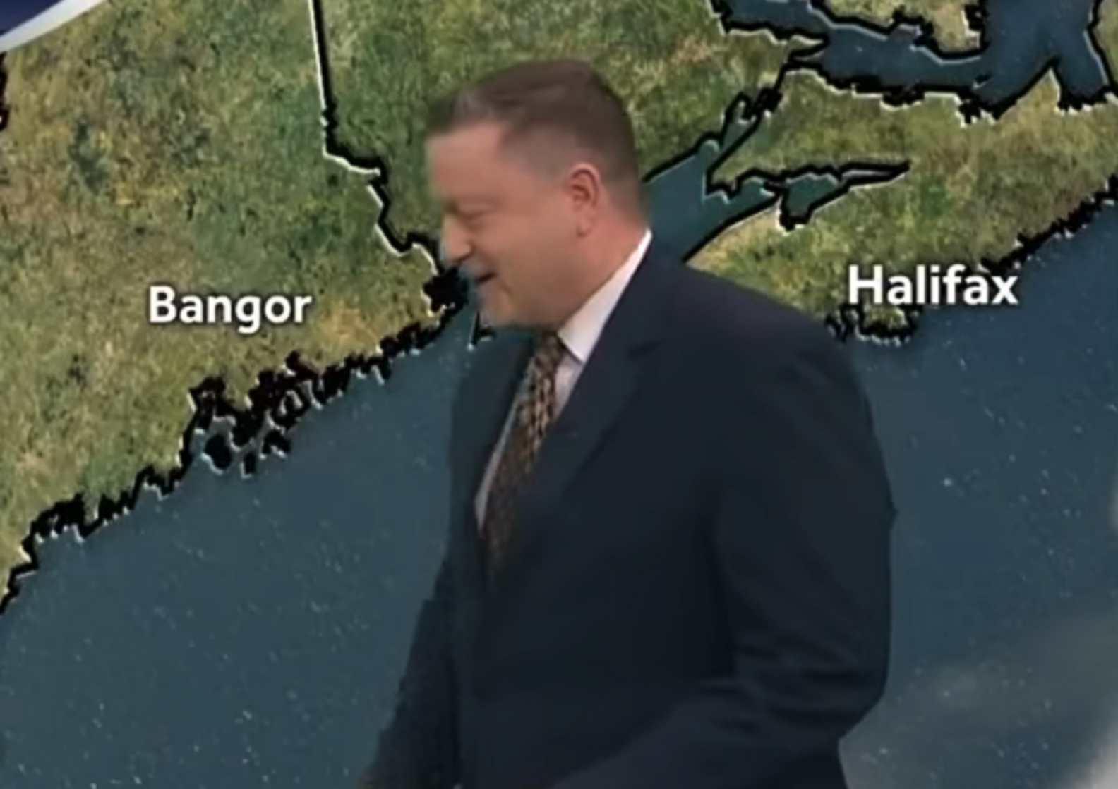 Newfoundland Dog Casually Interrupts TV Weather Report - The Dodo