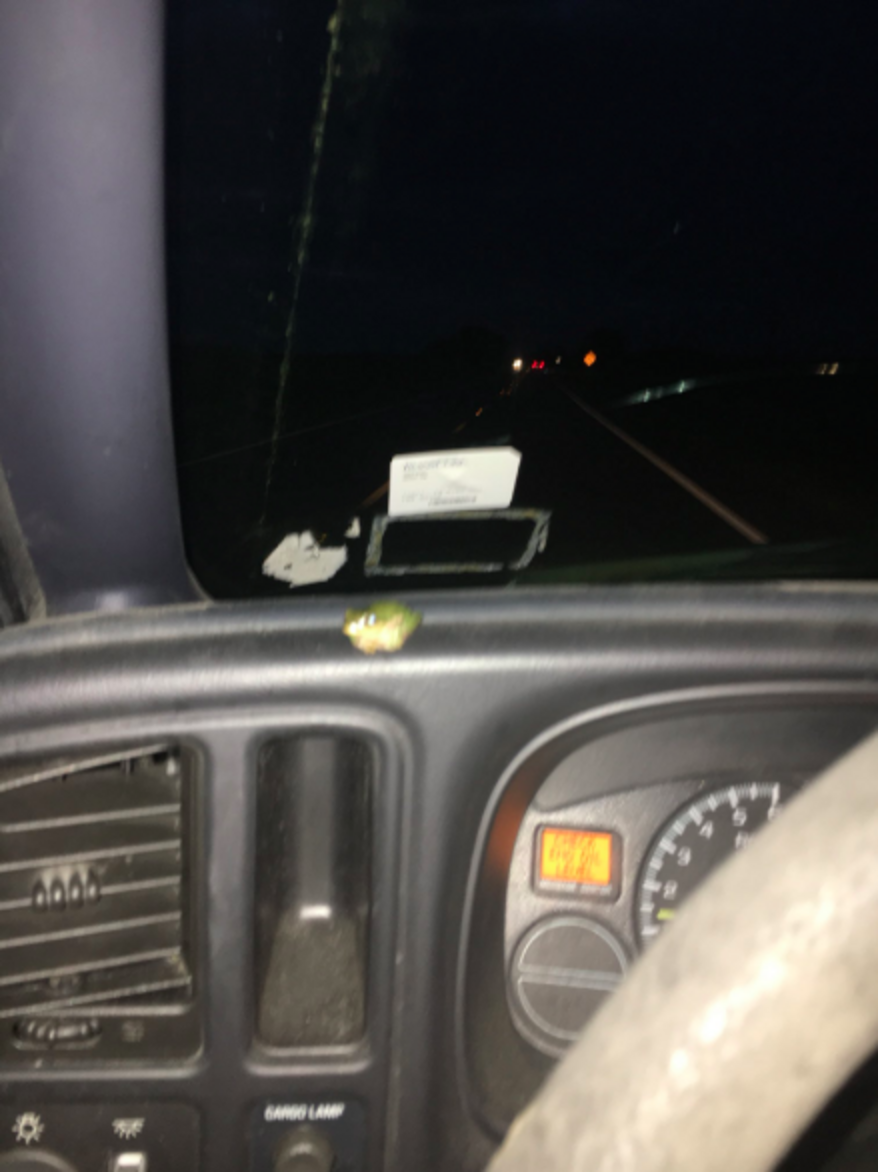 Driver Helps Tree Frog Clinging To His Car Get Back Home - The Dodo