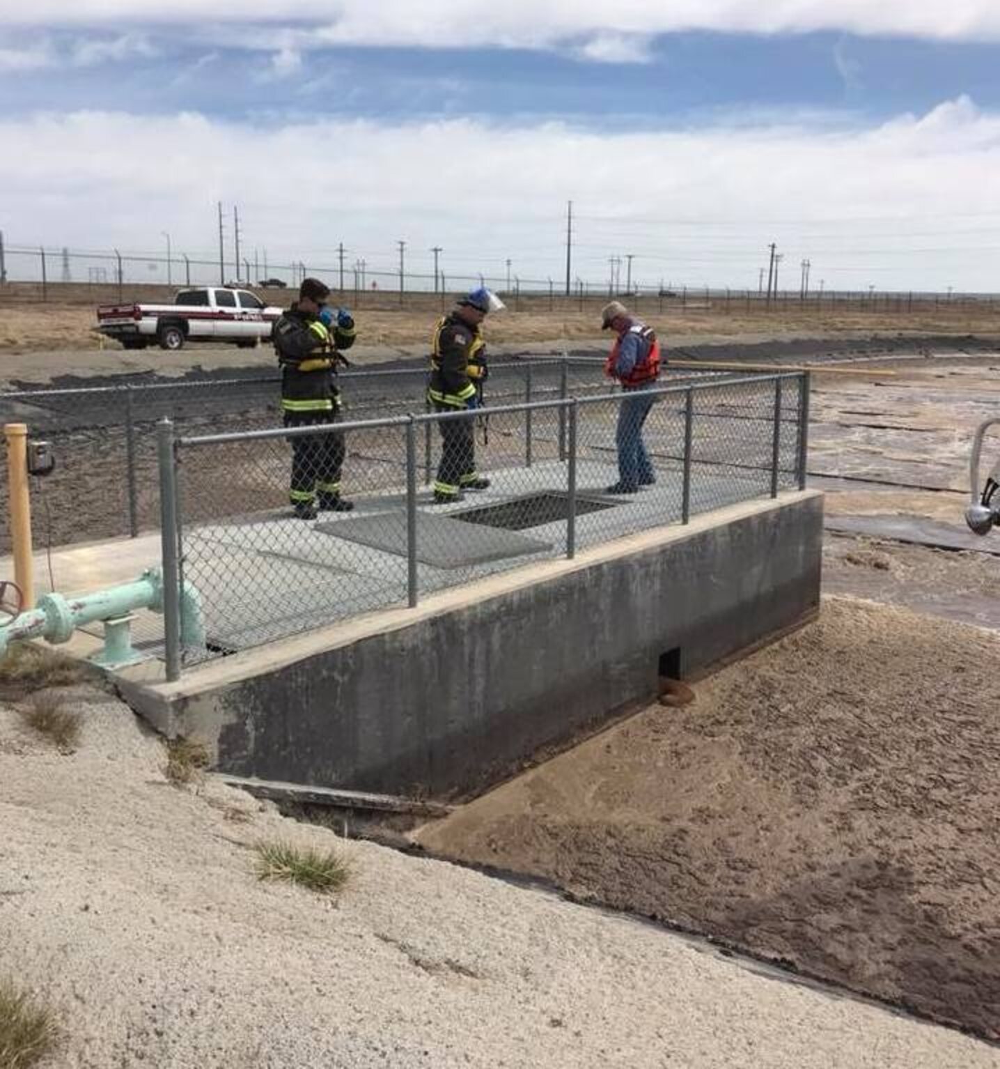 Dog Rescued From Colorado Wastewater Treatment Plant - The Dodo