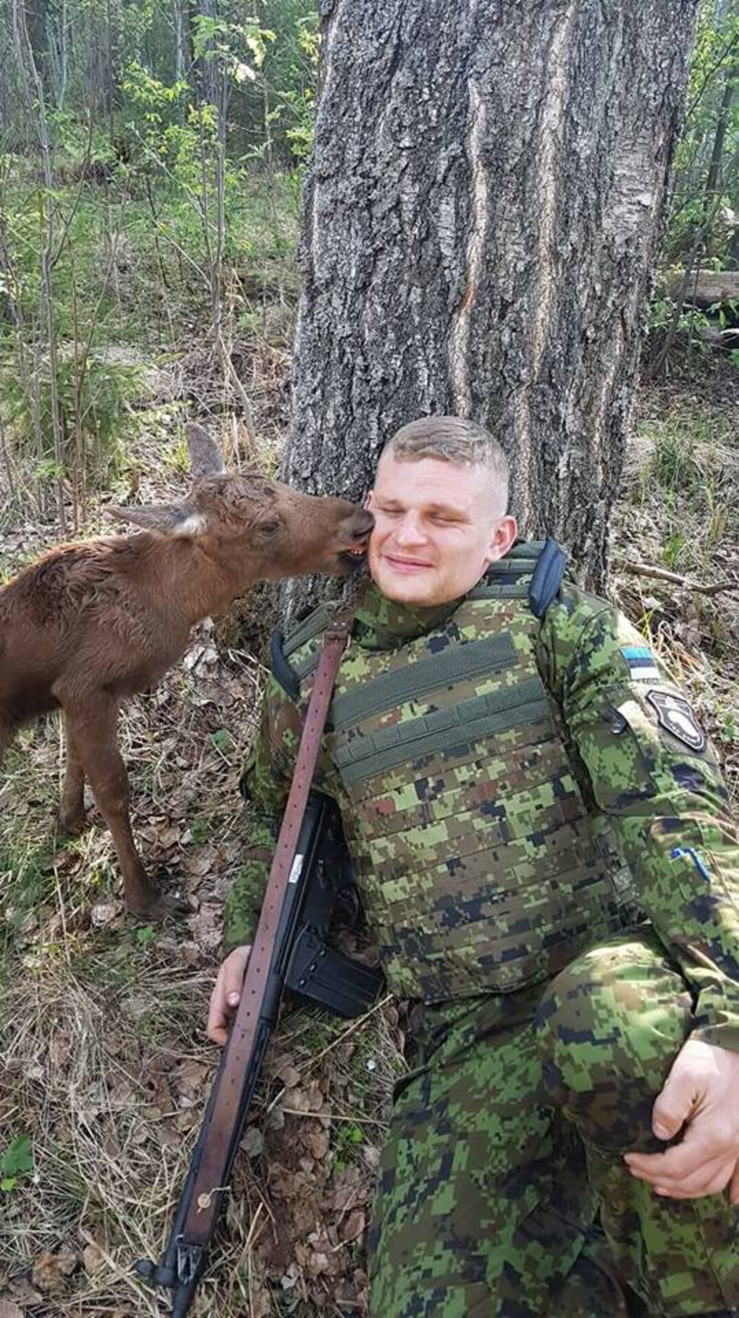 Soldier In Estonia Reunites Lost Moose Calf With His Mother - The Dodo
