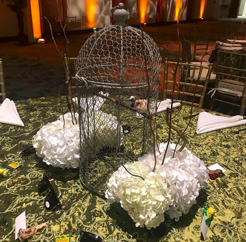 Live Tiger At Miami High School Prom Sparks Outrage - The Dodo