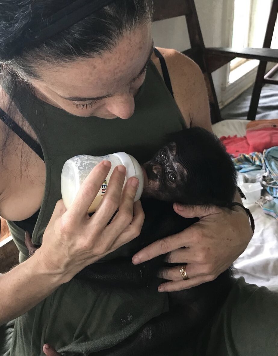 Orphaned Baby Chimp Can't Stop Smiling At Her Rescuers - The Dodo
