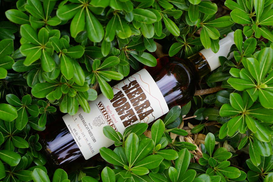 Everything You Need to Know About Sierra Norte and Mexican Whiskey ...