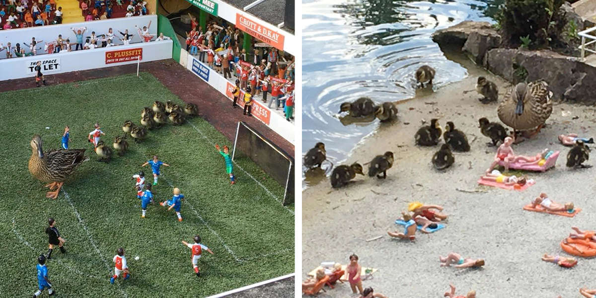 Family Of Ducks Pay A Surprise Visit To A Tiny Model Town - The Dodo