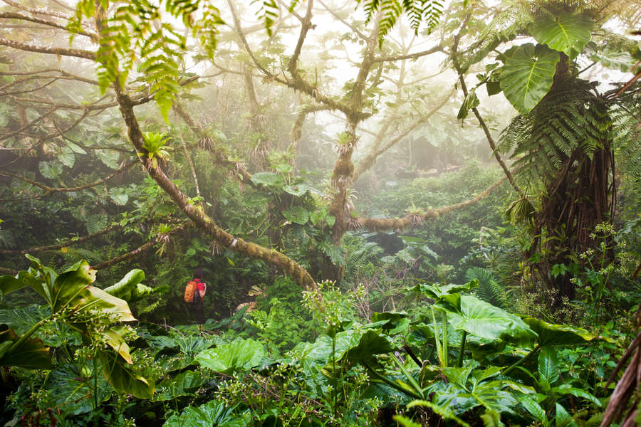 Saba Is the Best Caribbean Island You've Never Visited - Thrillist