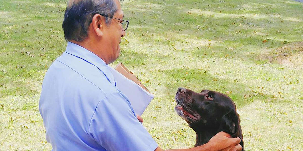 Dog Can't Wait To See The Mailman Every Single Day - Videos - The Dodo