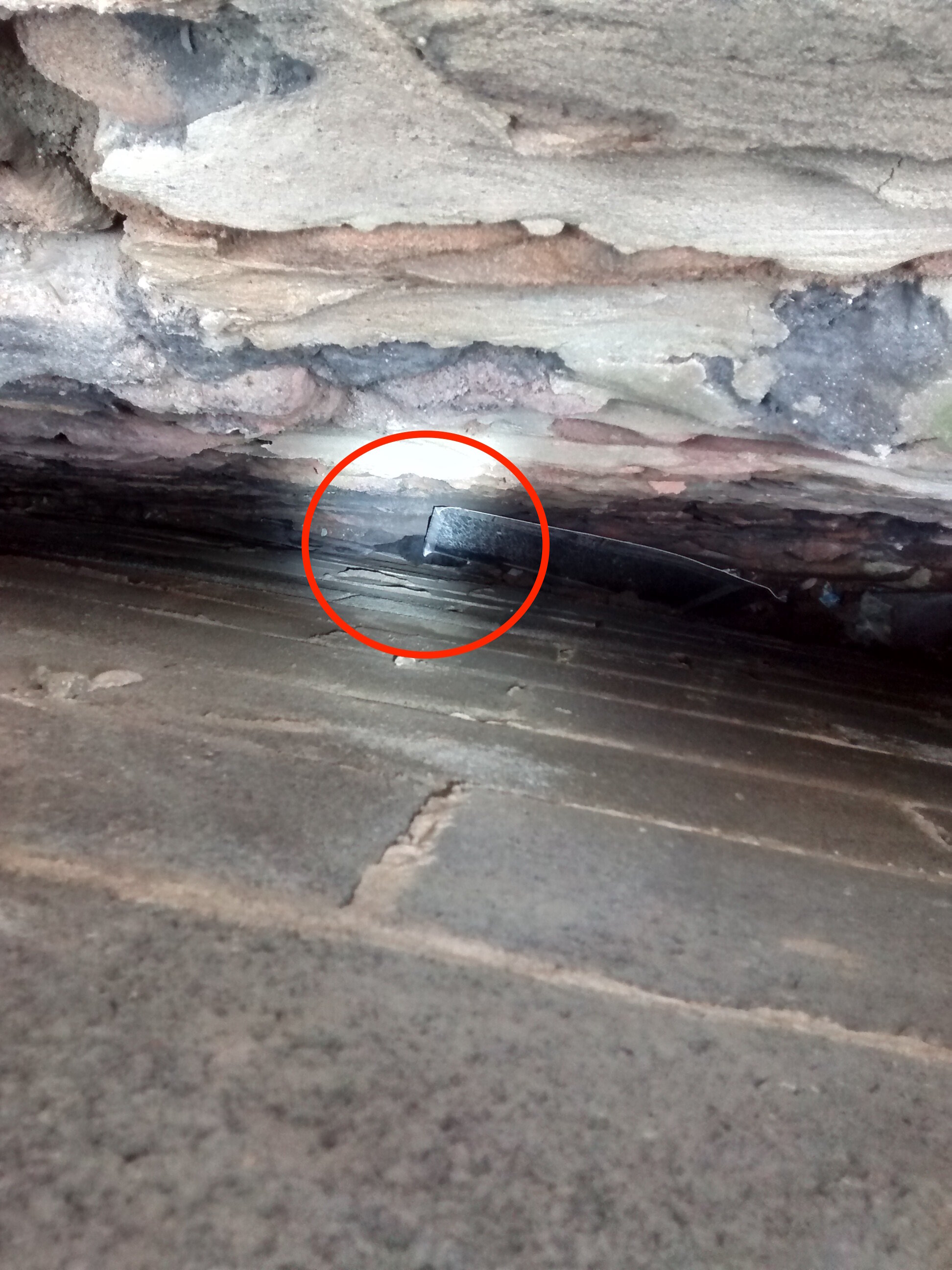 Kitten Falls Off Pub Roof And Gets Stuck Between Two Buildings - The Dodo