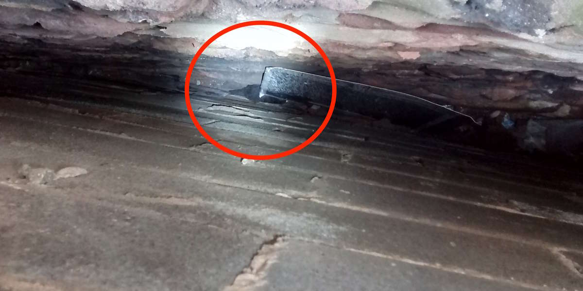 Kitten Falls Off Pub Roof And Gets Stuck Between Two Buildings - The Dodo