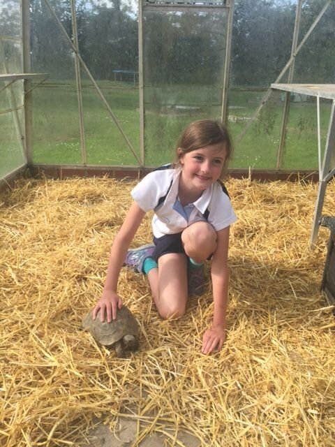 Little Girl Makes Cutest Missing Posters For Her Lost Tortoise - The Dodo