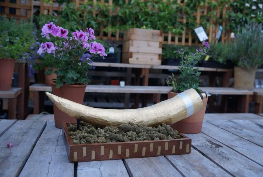 World's Most Expensive Joint Ever Rolled is $24,000 - Thrillist