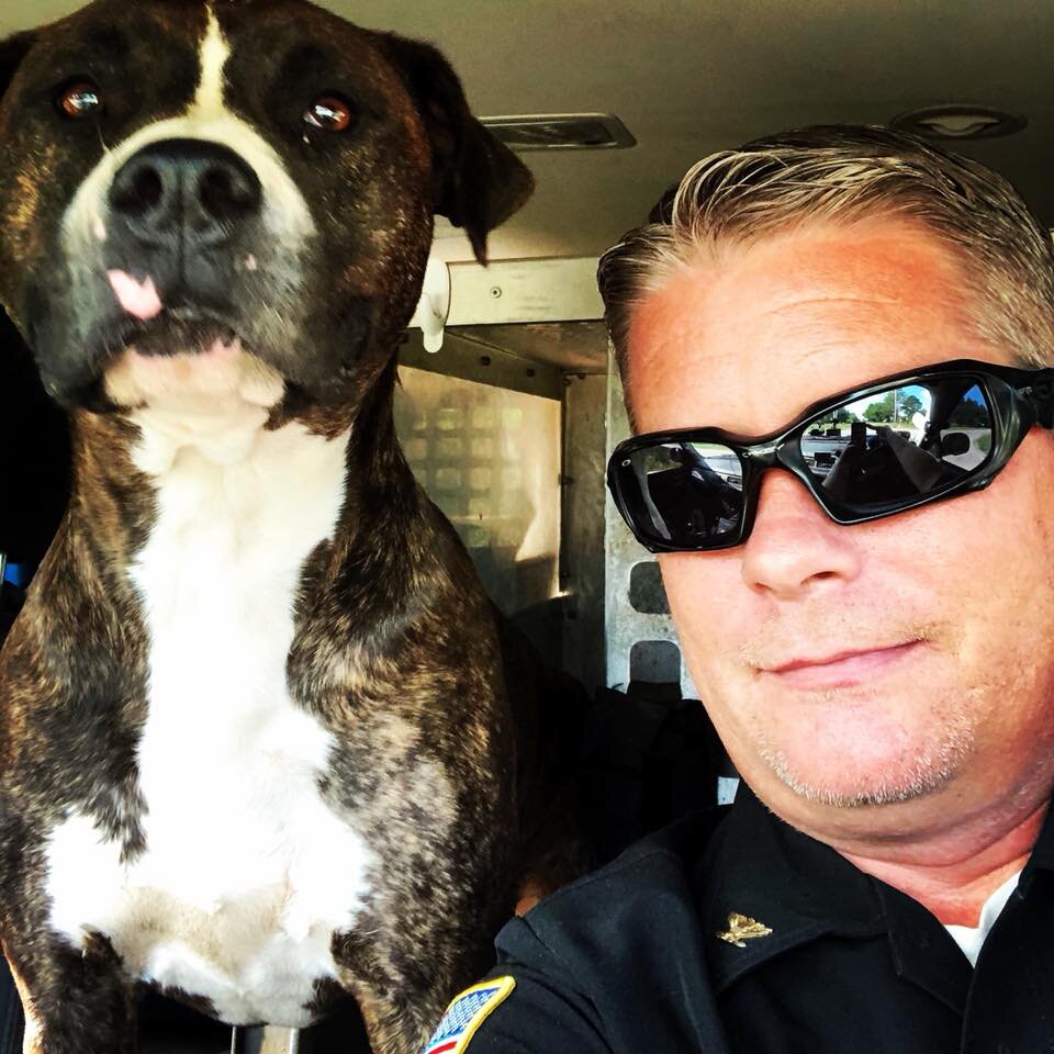Former Stray Becomes Oklahoma's First Pit Bull Police Officer - The Dodo