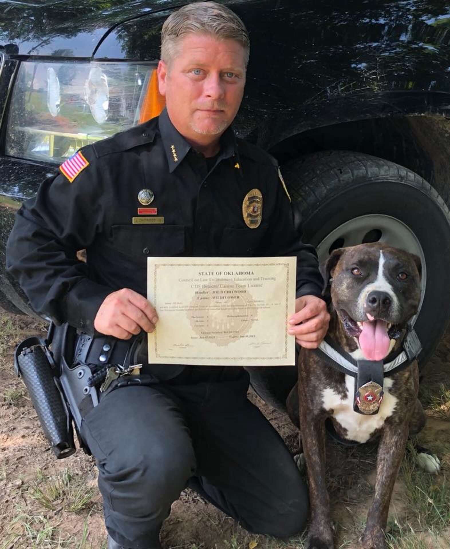 Former Stray Becomes Oklahoma's First Pit Bull Police Officer - The Dodo