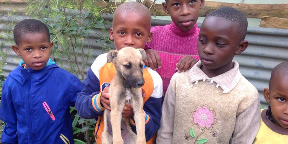 Tanzanian Kids Rescue Stray Puppy From Busy Road - The Dodo