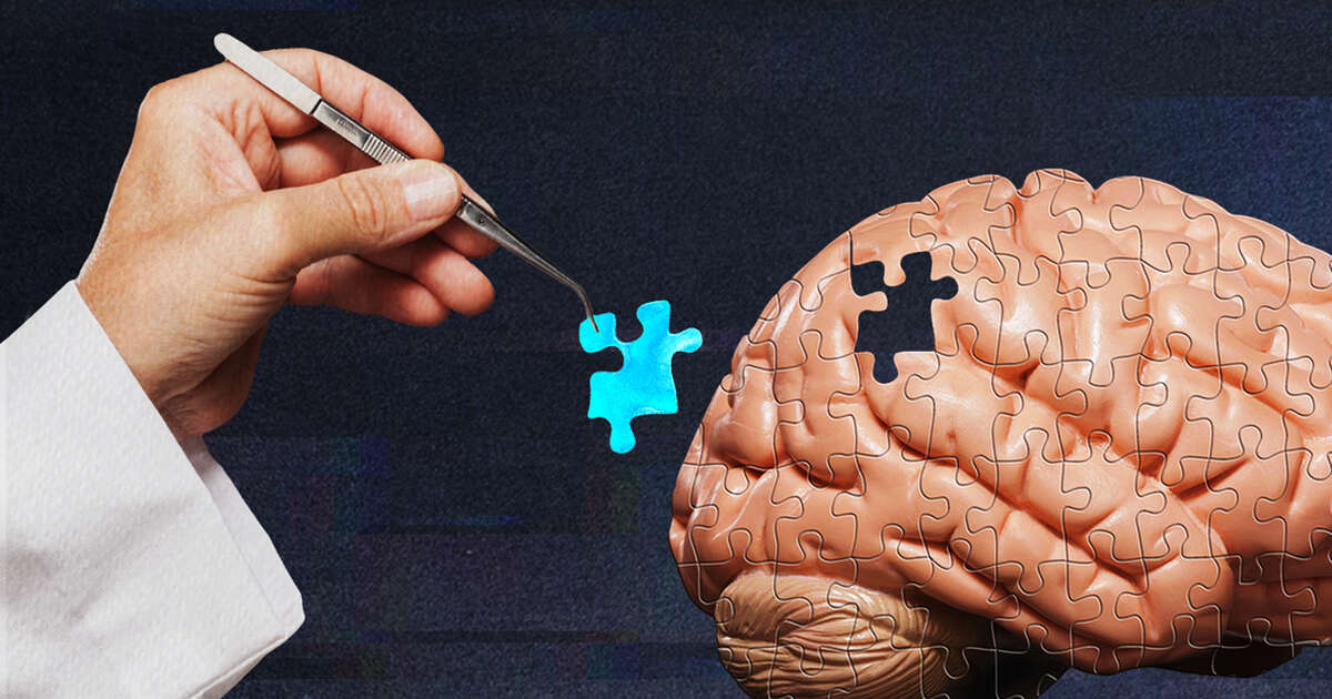 Scientists Can Implant Fake Memories In The Brain Here s How Videos Scientists Can Implant Fake Memories In The Brain Here s How Videos