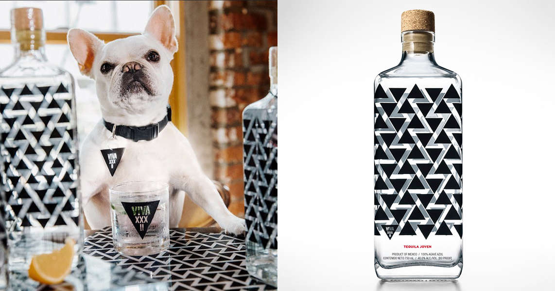 Viva XXXII Tequila Is Rescuing Dogs With Every Bottle - Thrillist