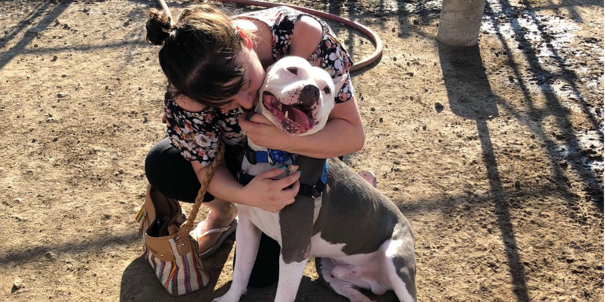 Woman Reunites With Long-Lost Dog After Seeing Him On TV - The Dodo