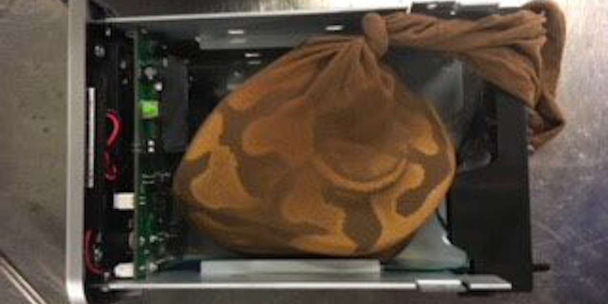 TSA Discovers Python Hidden Inside Hard Drive At Miami Airport - The Dodo