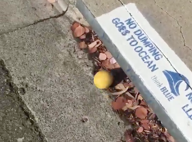 A Lemon Rolling Down the Street is Twitter's New Favorite Video - Thrillist