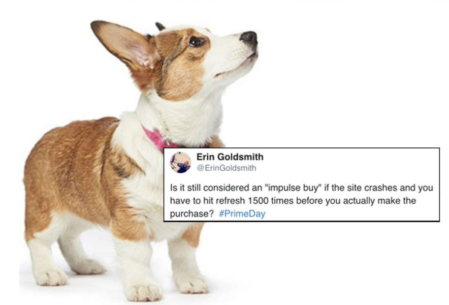 Amazon Prime Crash: Amazon Went Down on Prime Day and People Were Mad ...