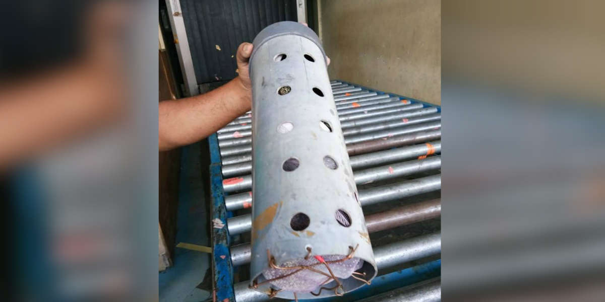 Monitor Lizard Discovered In Luggage At Indonesian Airport - The Dodo