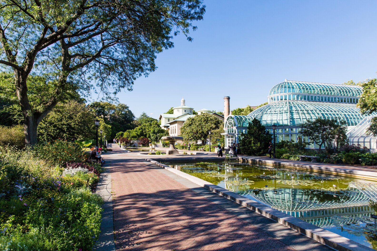 NYC Culture Pass: NYC Library Cards Grant Free Access to These Museums ...