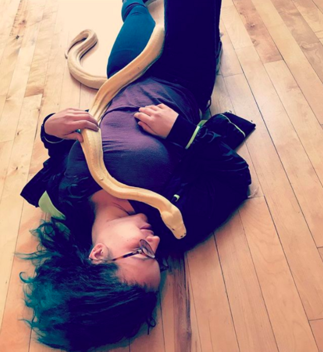 Rescue Snake Loves Cuddling With His Foster Mom - The Dodo