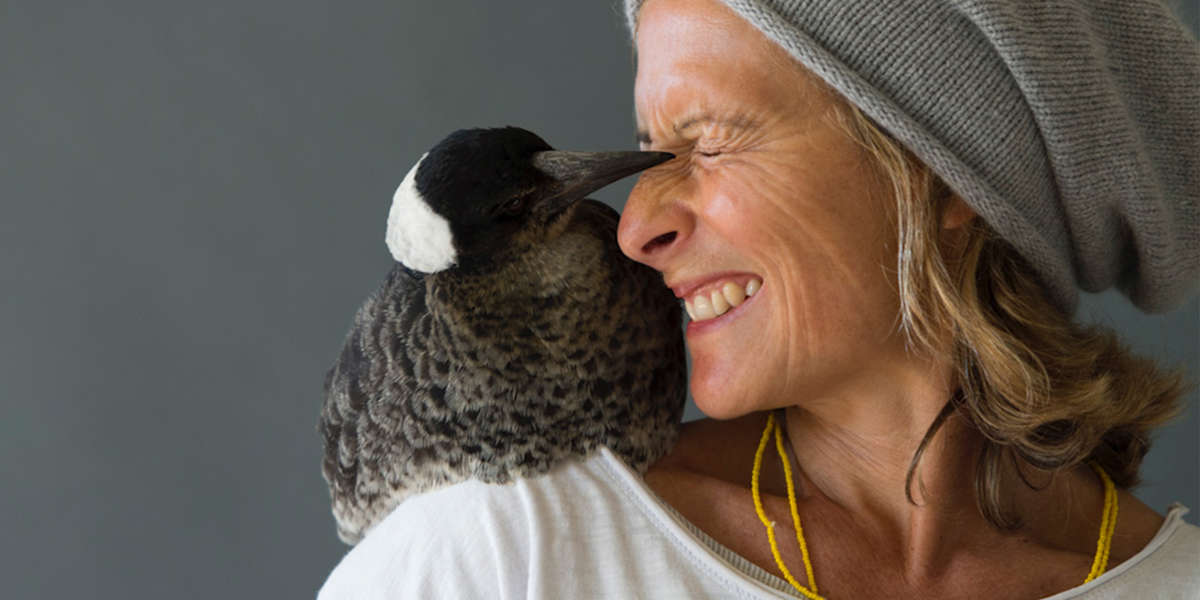 Rescued Magpie Helps Woman Believe in Herself Again - Videos - The Dodo