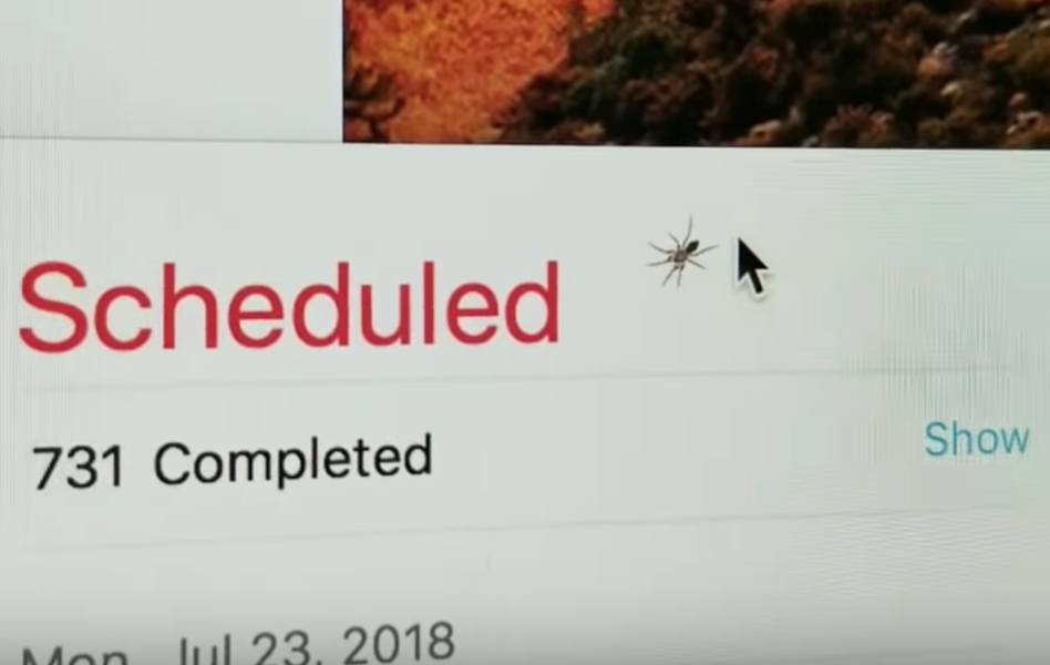 Spider is Stuck Inside iMac Screen: A Literal Computer Bug - Thrillist