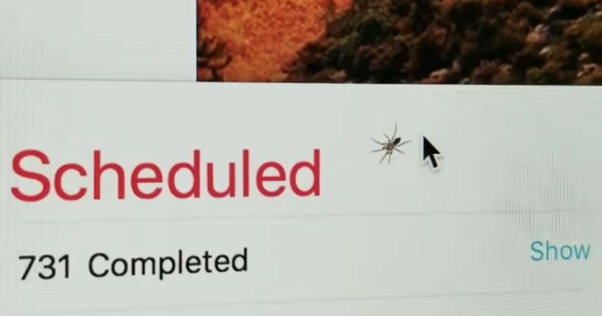 Spider is Stuck Inside iMac Screen: A Literal Computer Bug - Thrillist