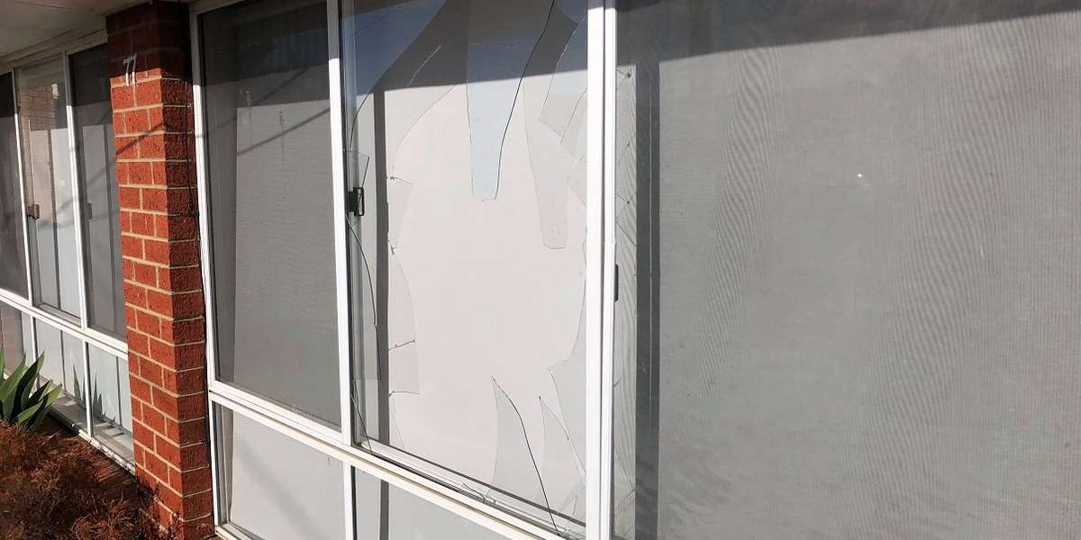 Australian Family Finds Stressed-Out Wild Kangaroo Inside Their House ...