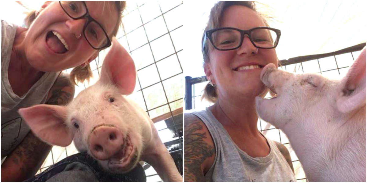Scared Piglet Lights Up When He Realizes He’s Safe - The Dodo