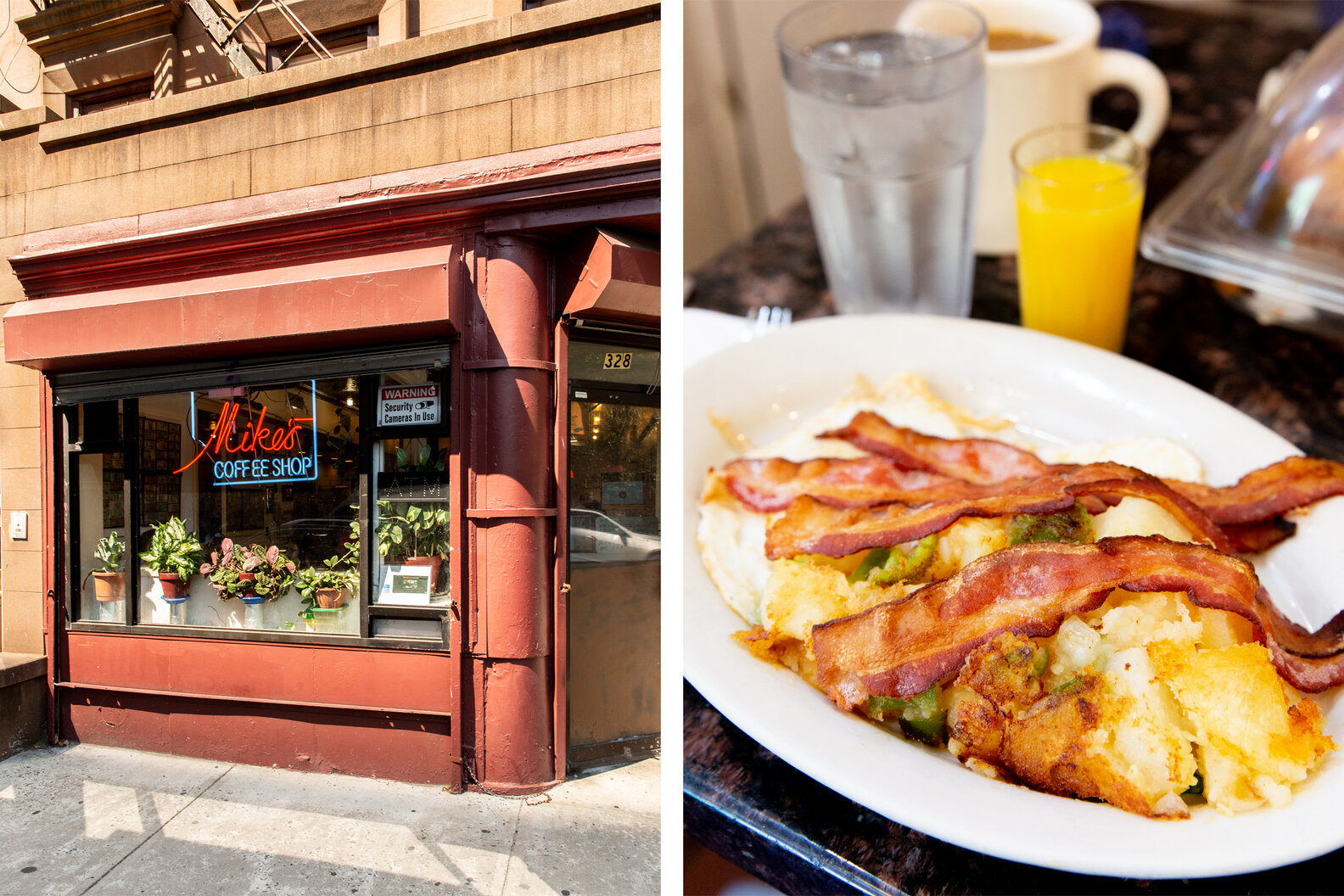 Best Restaurants in Fort Greene and Clinton Hill to Eat At Right Now ...