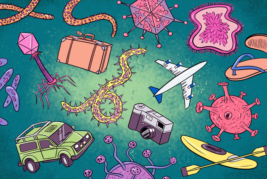 Common Travel Diseases: What It's Like to Get Malaria, Zika & More ...
