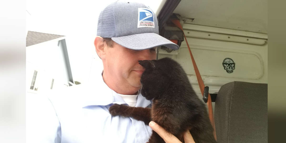 Senior Cat Has Been Greeting Her Favorite Mailman For Years - The Dodo