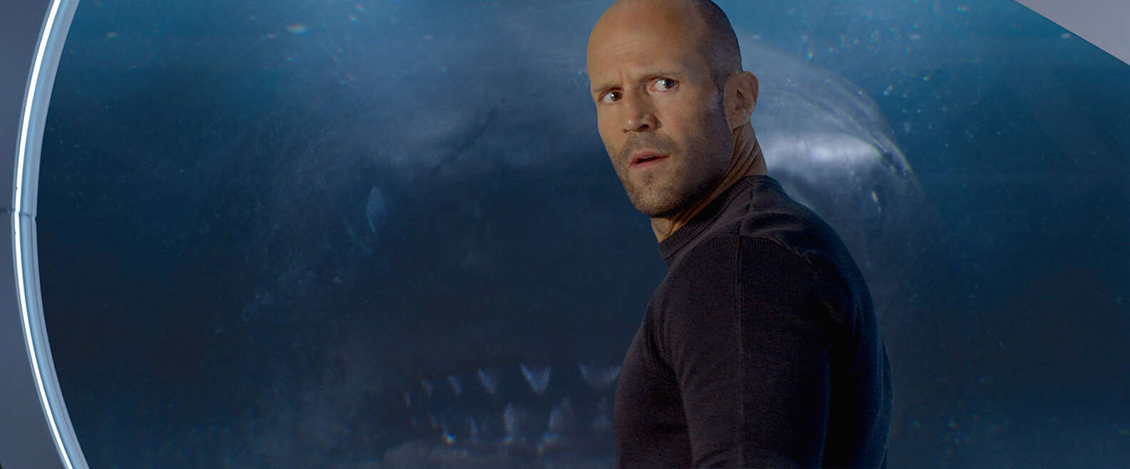 The Meg Shark Size: How Big is the Shark in New Jason Statham Movie ...