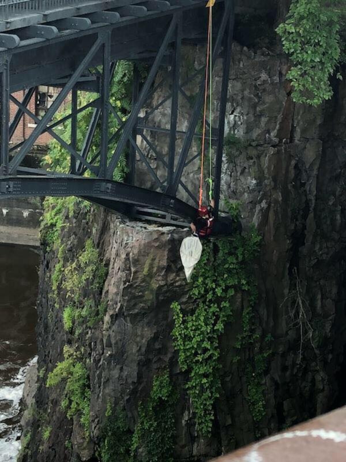 Rescuers Save Dog Stranded On Ledge Near New Jersey Waterfall - The Dodo