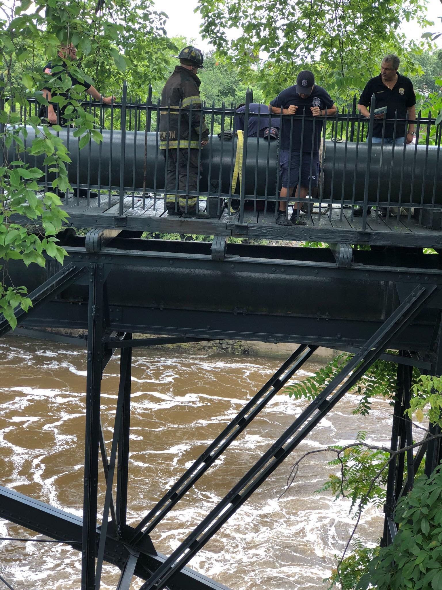 Rescuers Save Dog Stranded On Ledge Near New Jersey Waterfall - The Dodo