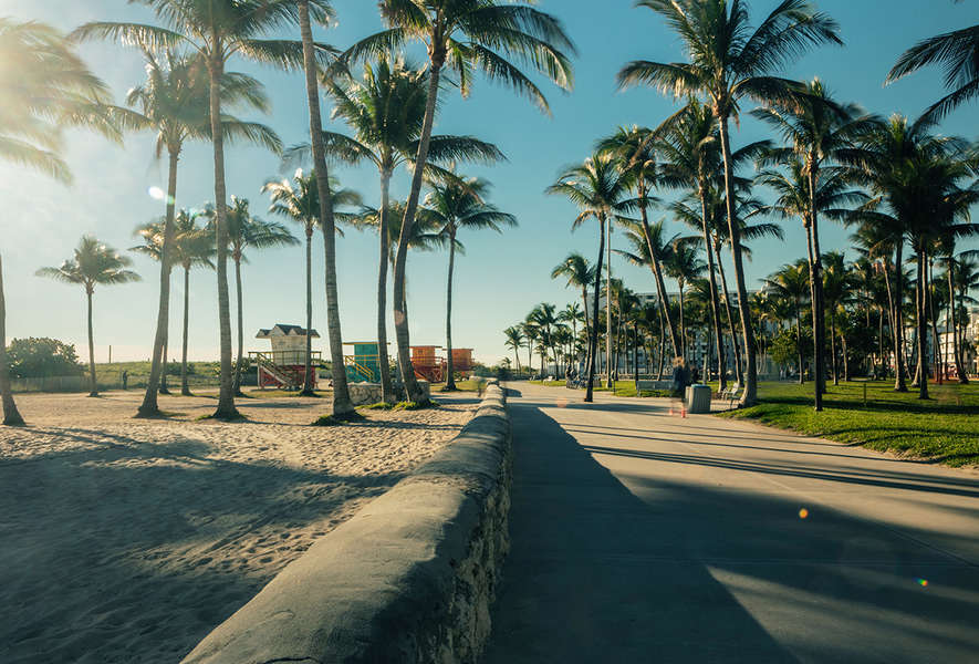These Are The Local Stops In Miami You Need To See - Thrillist