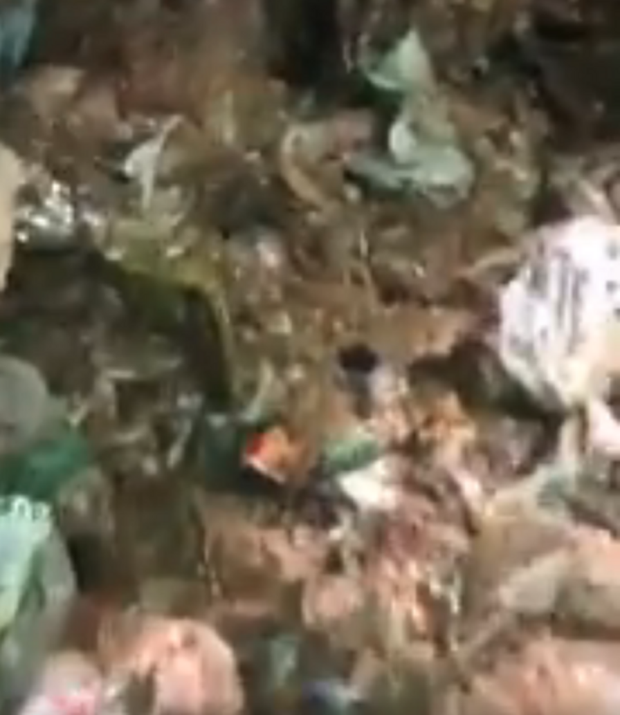 Garbagemen Rescue Tiny Puppy Buried Beneath Mounds Of Trash - The Dodo