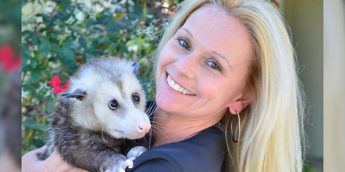 This Woman's Soulmate Is A Possum - Videos - The Dodo