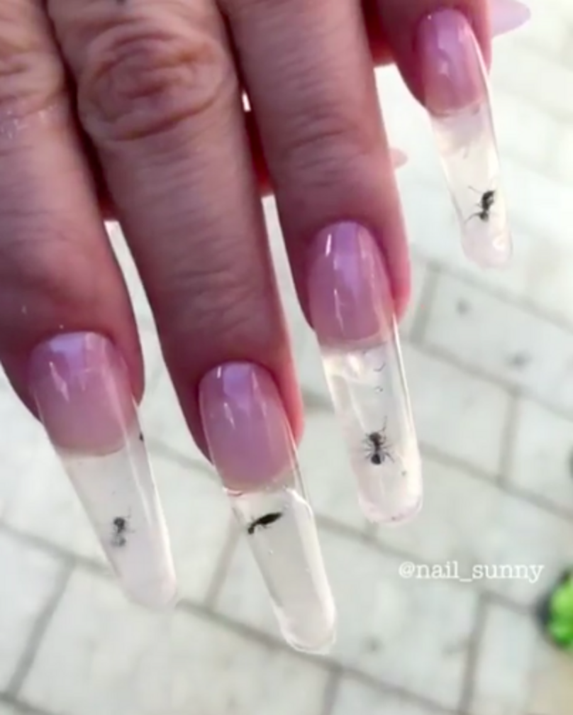 Nail Salon Debuts Manicure With Live Ants Inside - The Dodo