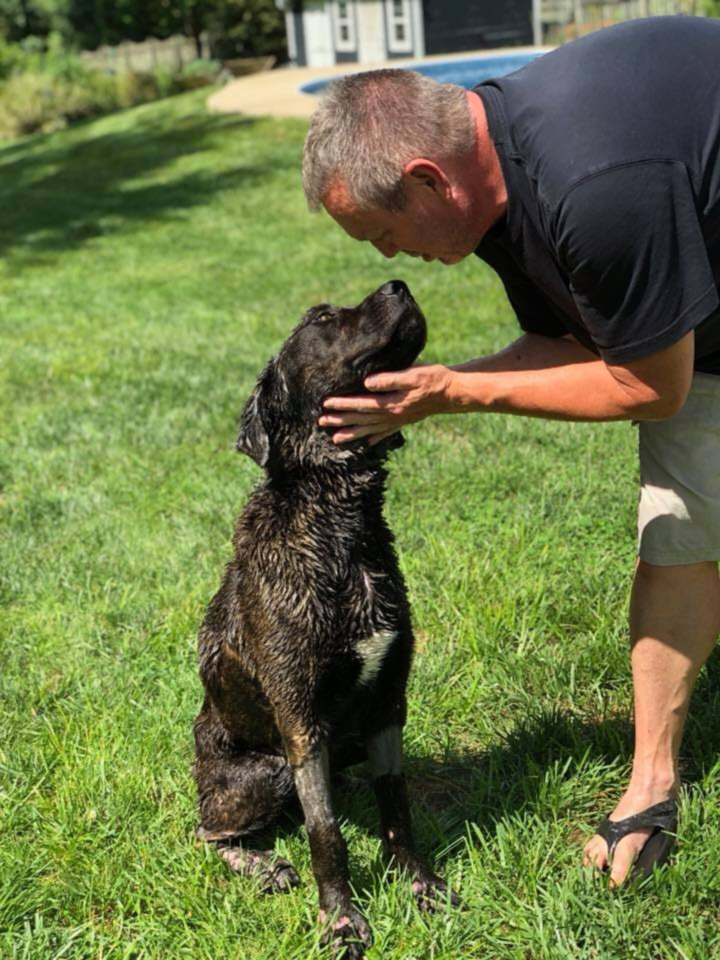 Dog Starved And Left For Dead Makes Most Amazing Recovery - The Dodo