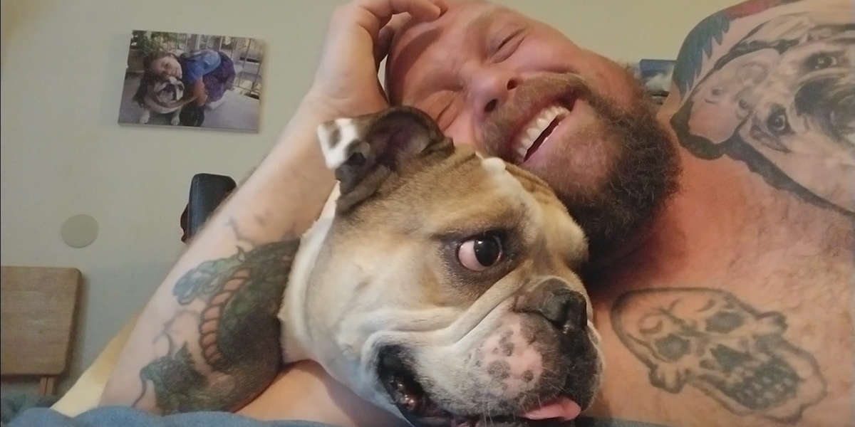 Guy Is Incredibly Entertained By His English Bulldog - Videos - The Dodo